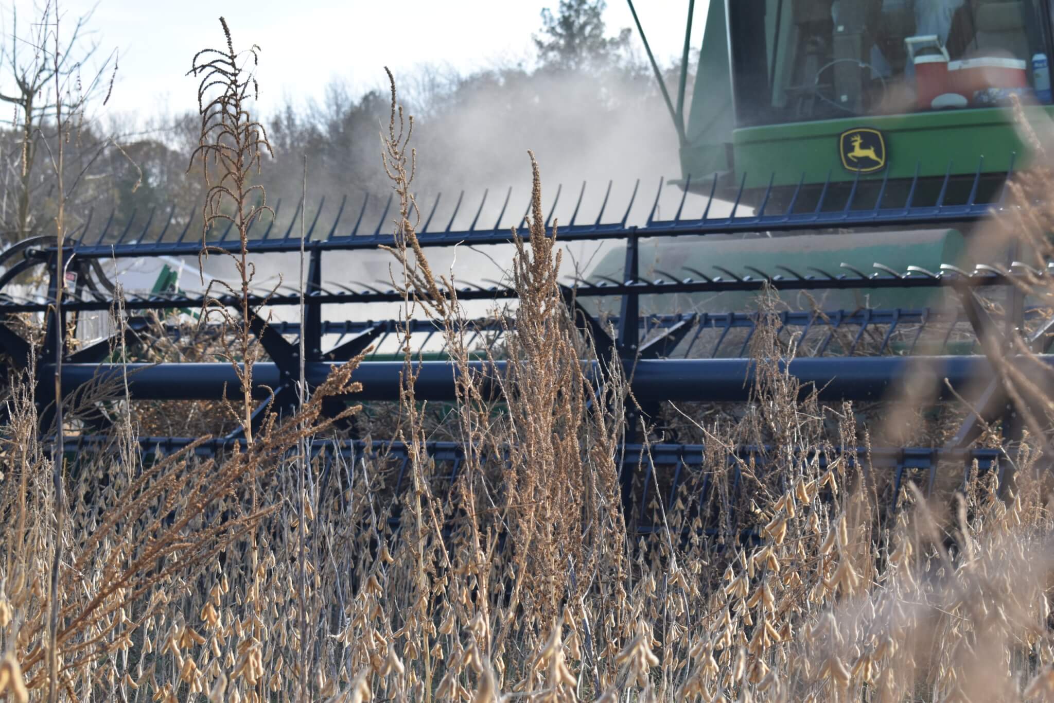 On-farm Chaff Lining Field Results - Getting Rid Of Weeds
