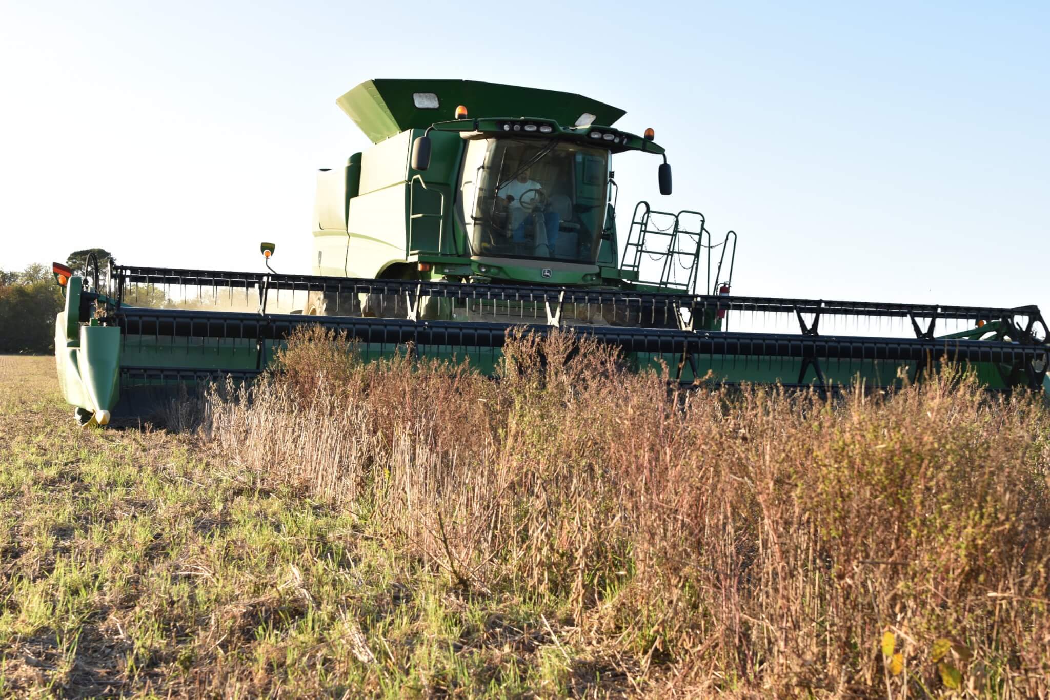 Farmer Forum Recap: How to Set Up Combine Headers for Weed Seed Capture ...