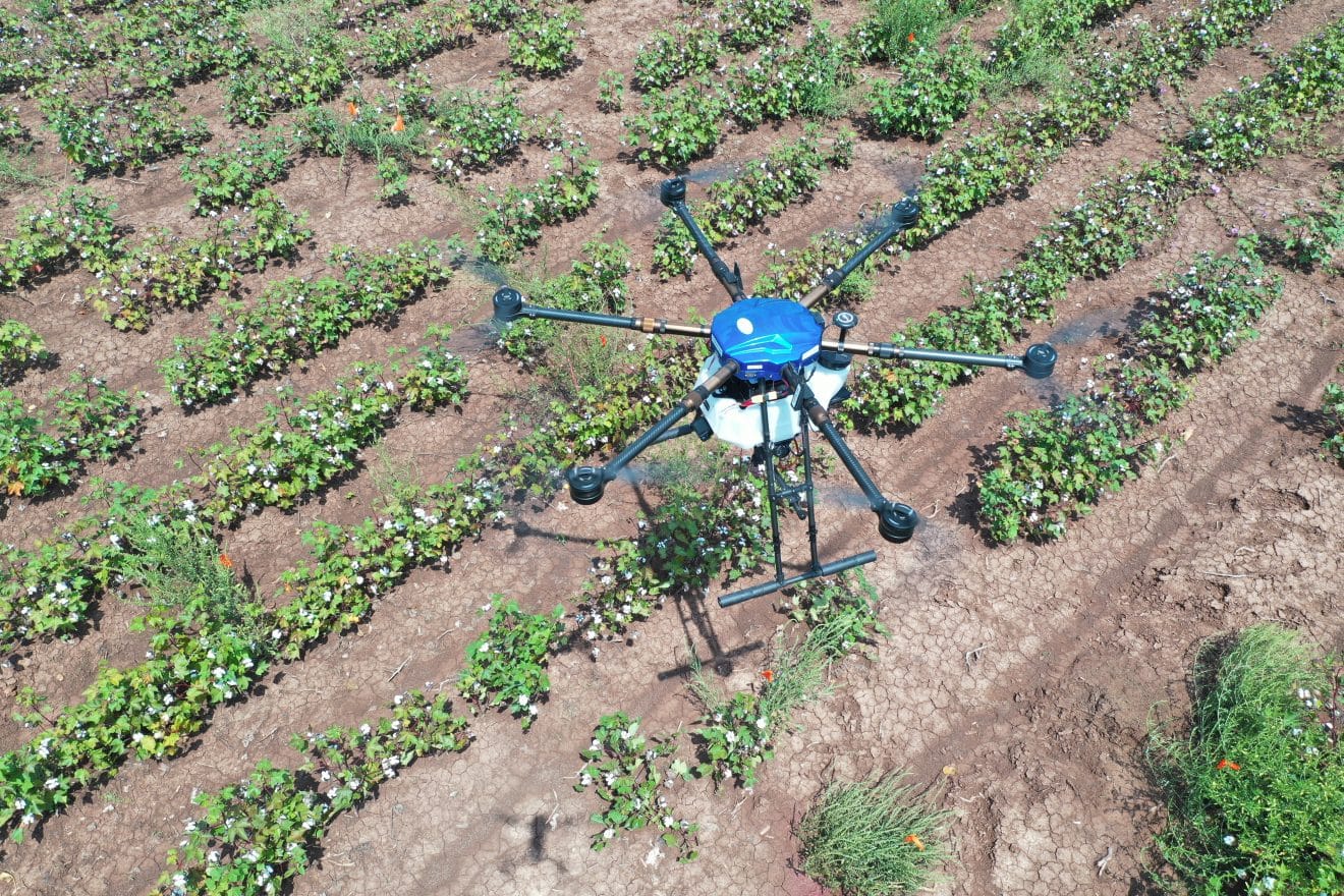 Precision Weed Management - Getting Rid Of Weeds