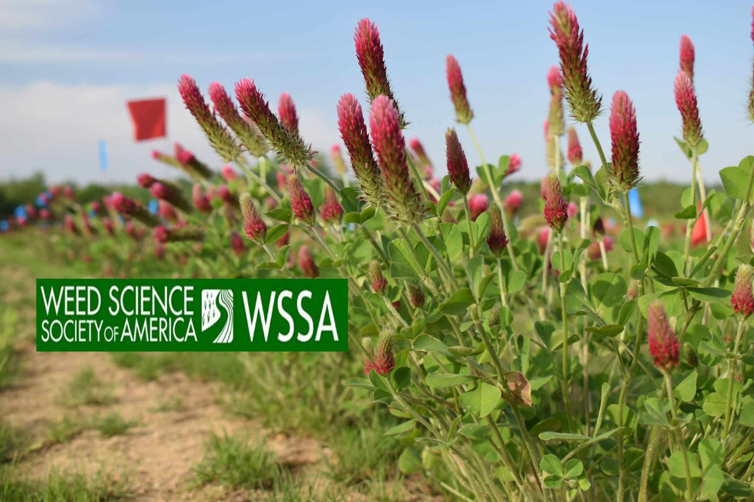 Four Takeaways on Cover Crops and Weed Control from WSSA - Getting Rid ...