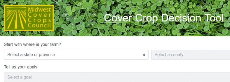 Cover Crops - Getting Rid Of Weeds