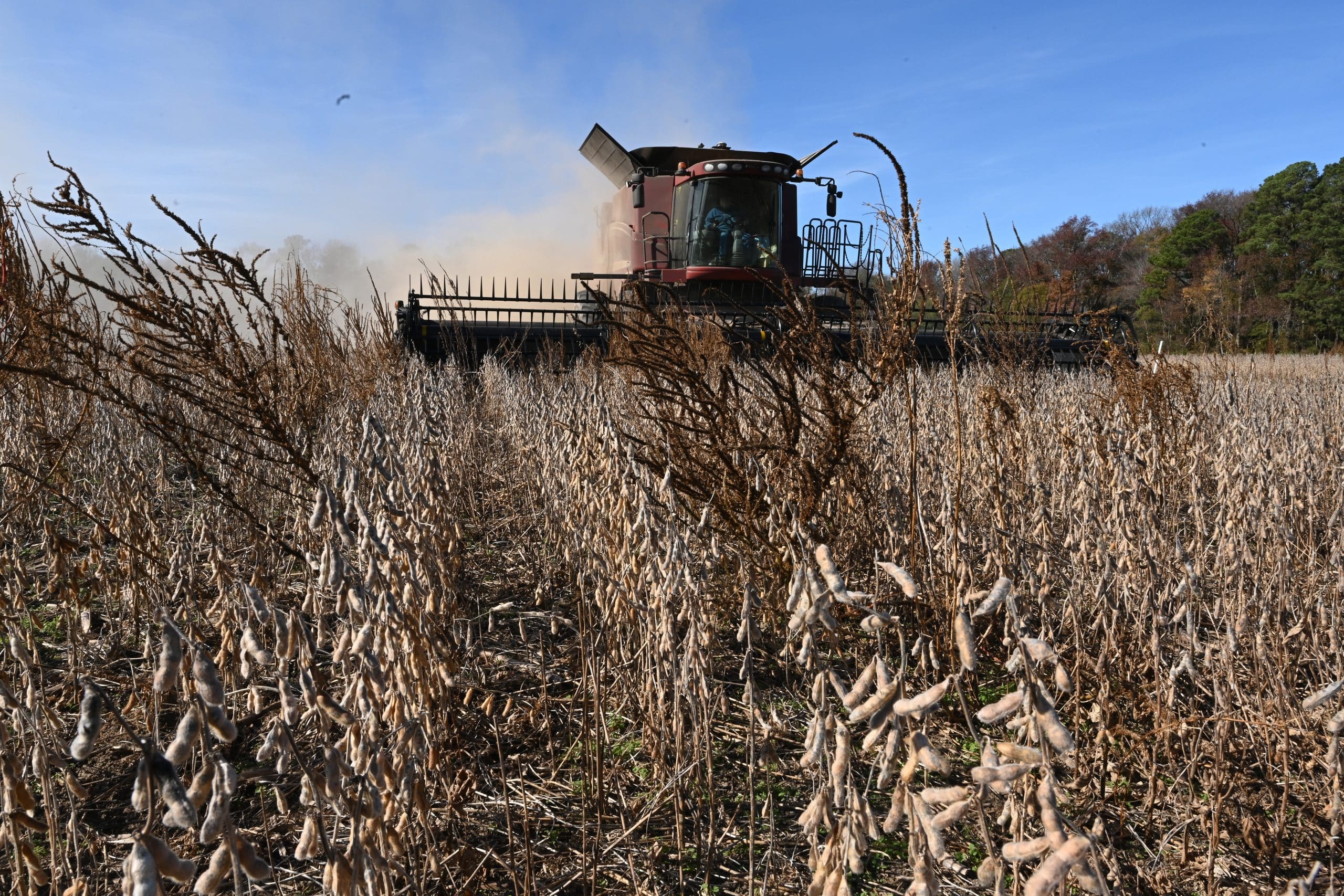 Updates on Harvest Weed Seed Control from WSSA Members Across the ...