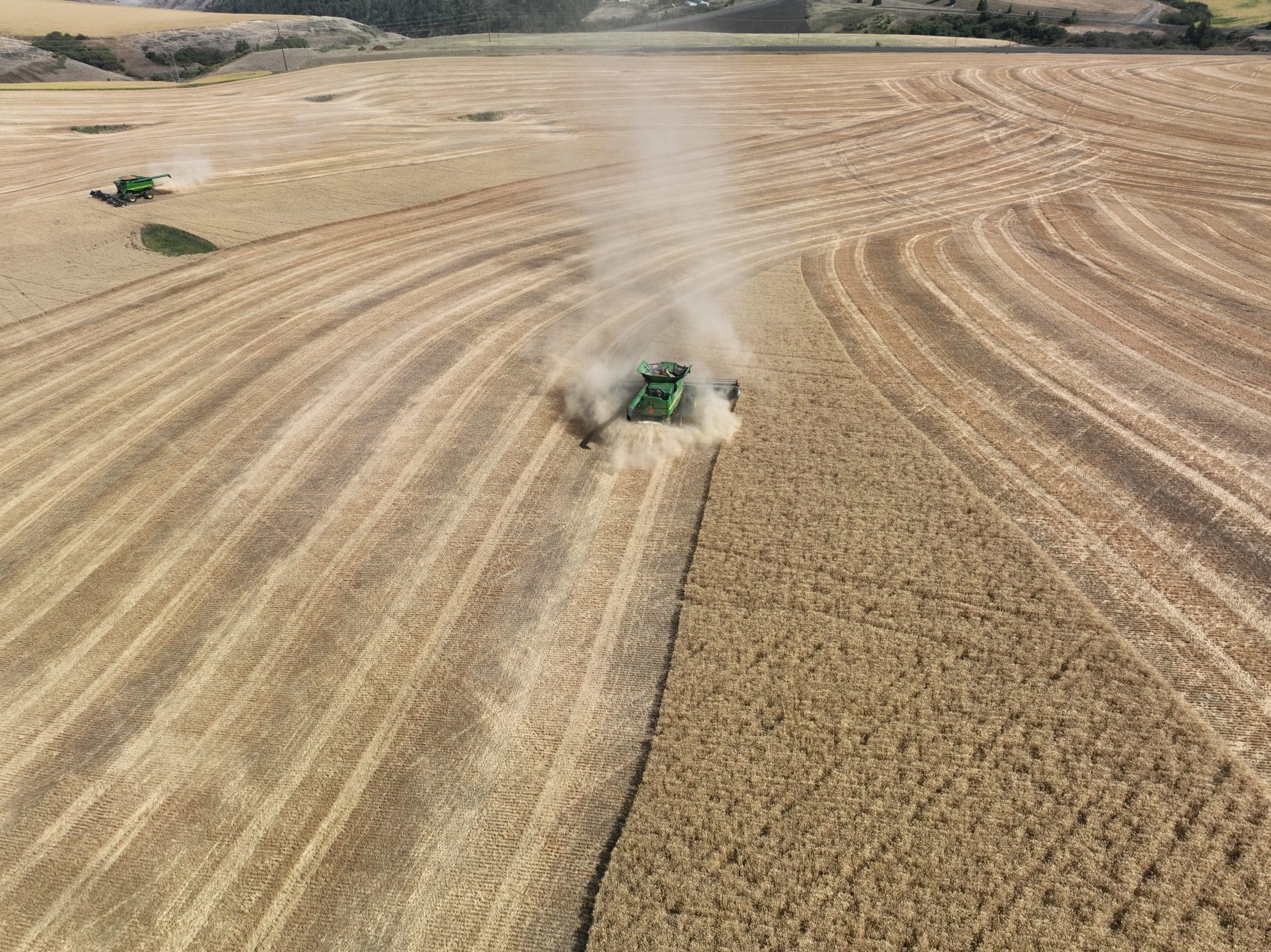 Farmer Forum Recap: Using Seed Impact Mills for Weed Control - Getting ...