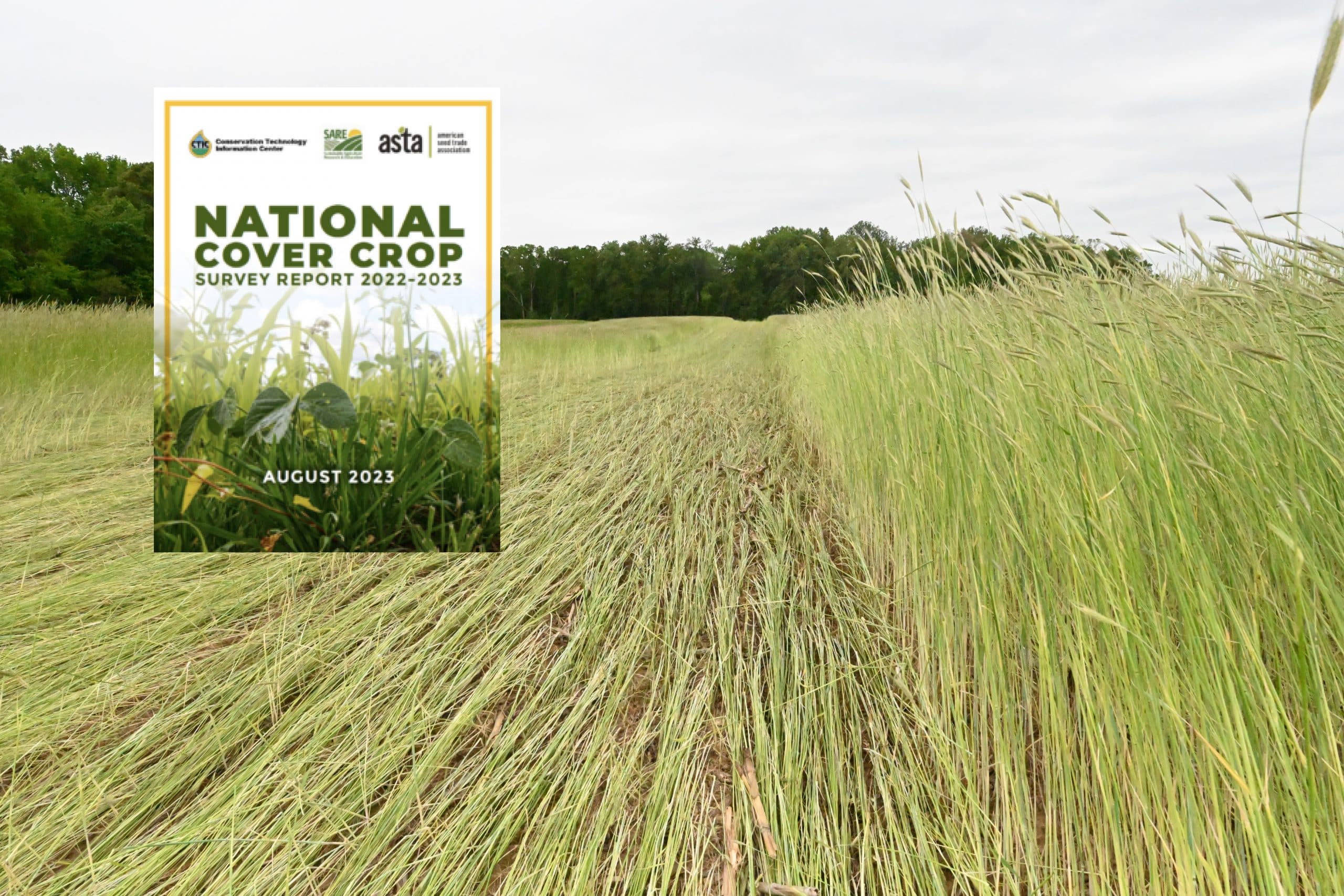 Weed Control Remains a Primary Goal for Cover Crop Users - Getting Rid ...