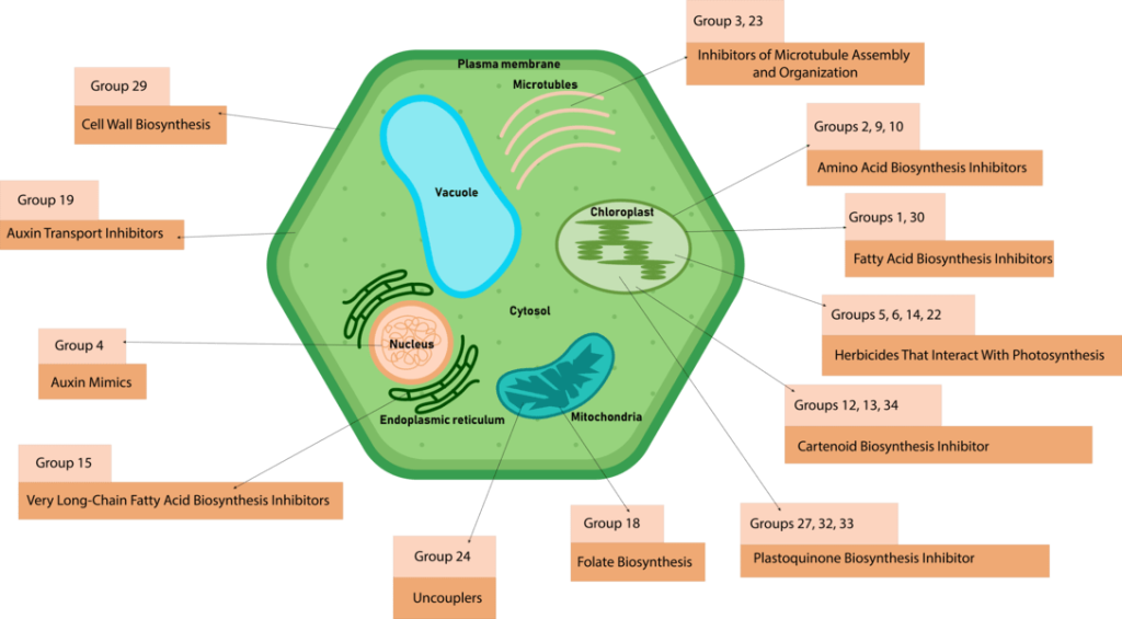 What is Integrated Weed Management? | Integrated Weed Management ...