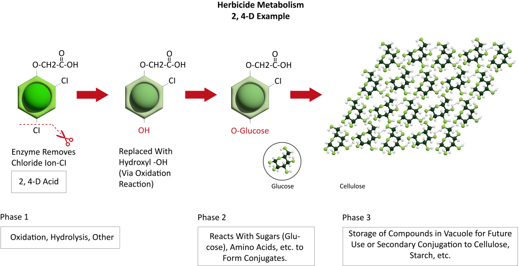 diuron - Getting Rid Of Weeds