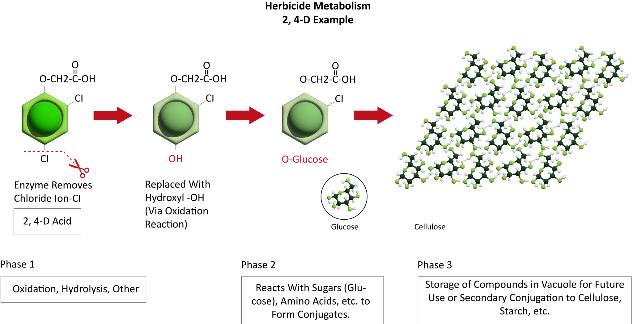 flufenacet - Getting Rid Of Weeds