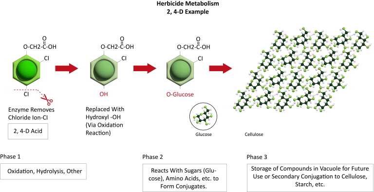 flufenacet - Getting Rid Of Weeds