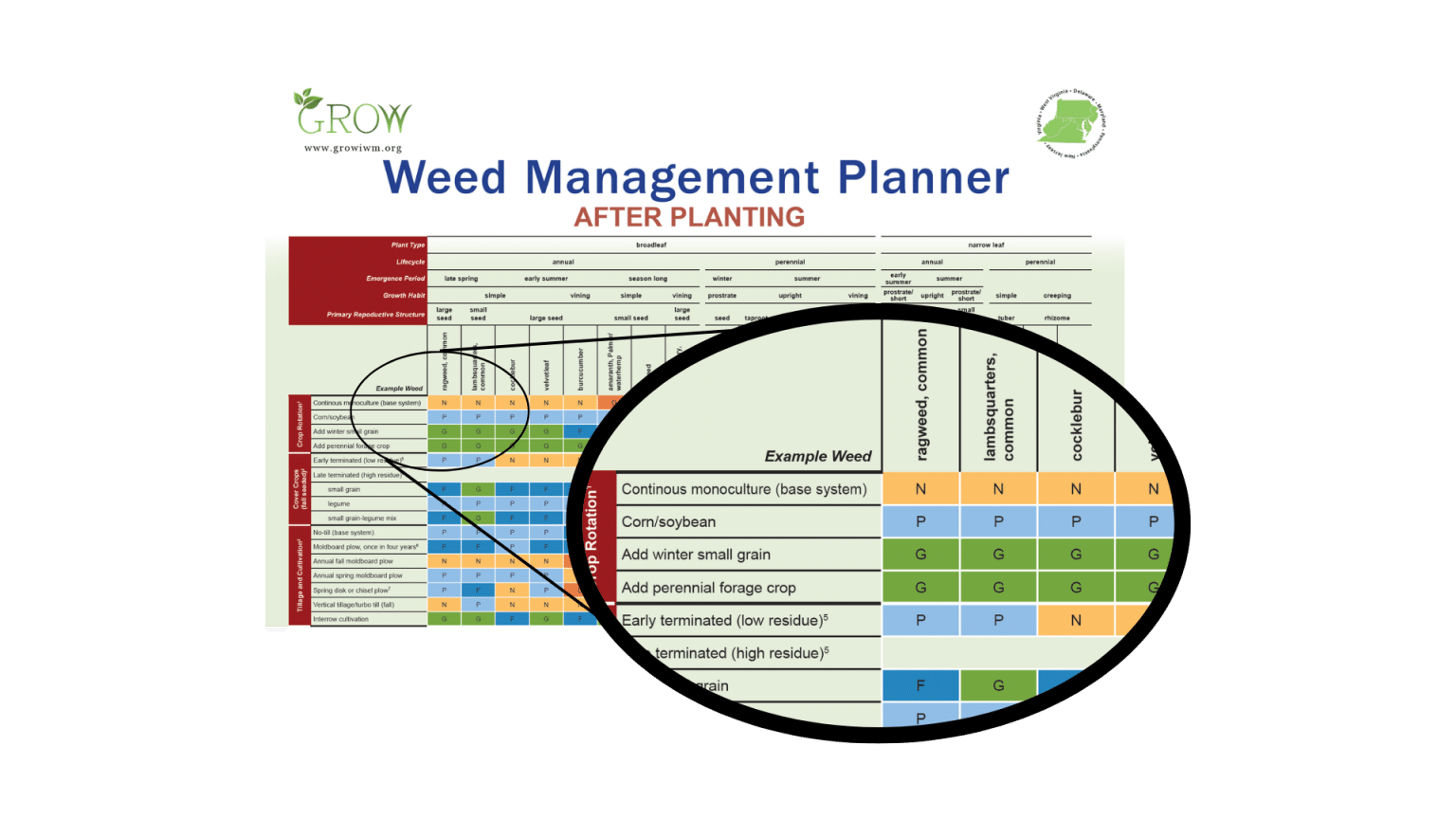 GROW (Getting Rid of Weeds) through Integrated Weed Management ...