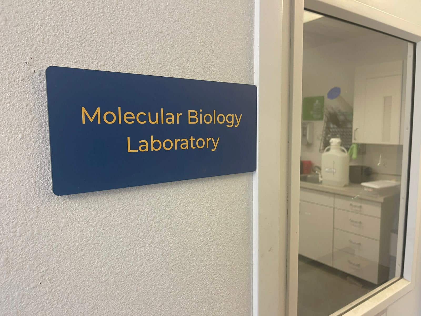 Testing for Herbicide Resistance: A Look at Montana State’s Options ...