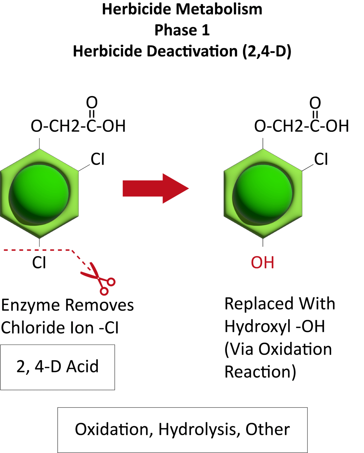 Take Action’s 2025 Herbicide Classification Chart Now Available ...