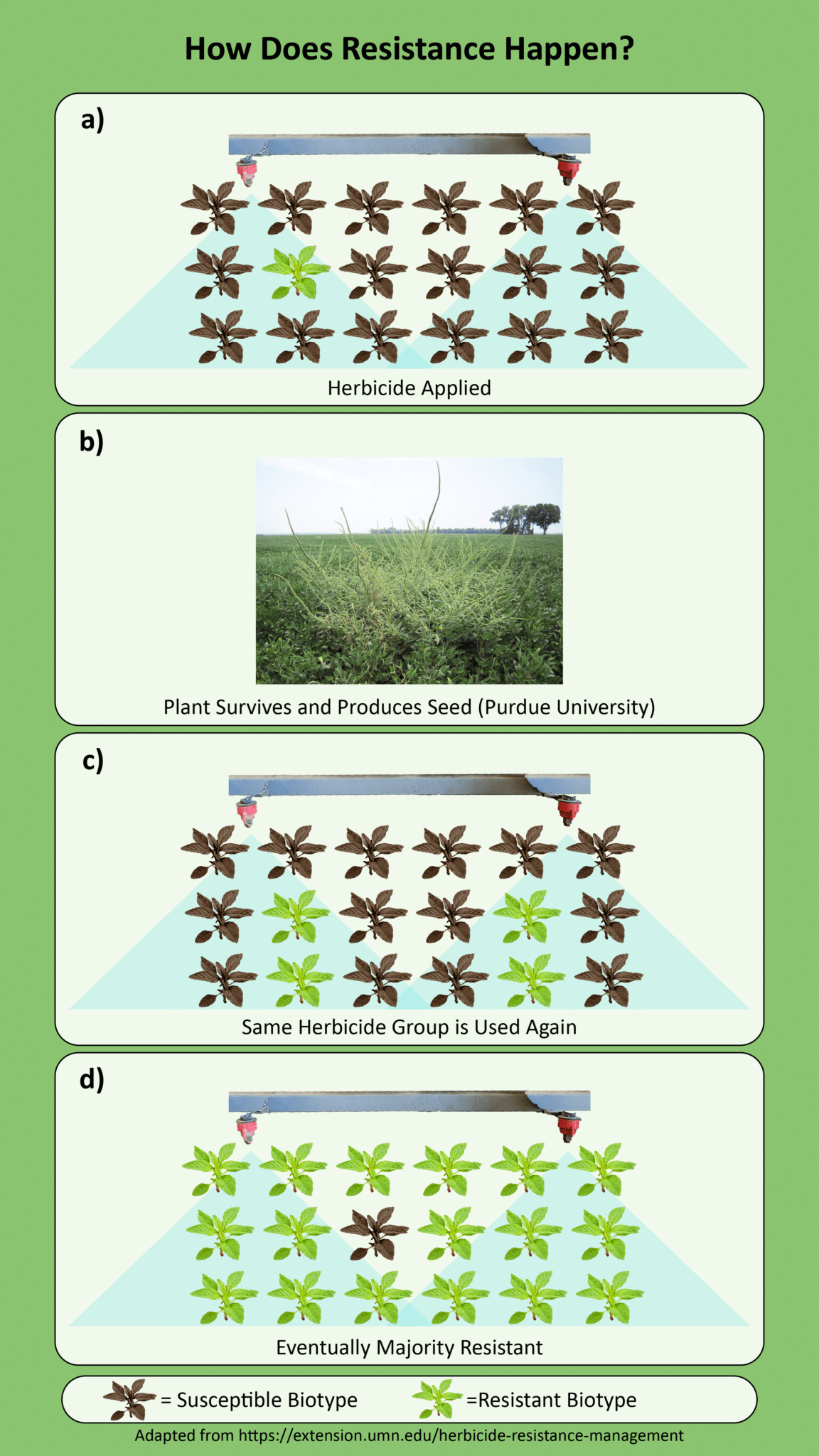 What is Integrated Weed Management? | Integrated Weed Management ...