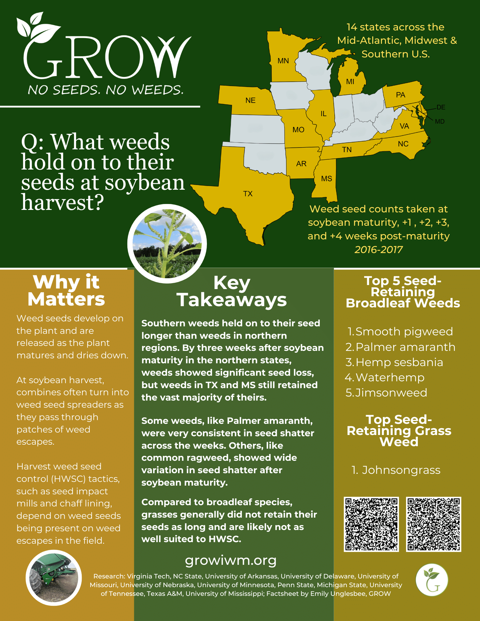 Learn When Weeds Shed Their Seeds (And Why It Matters!) - Getting Rid ...