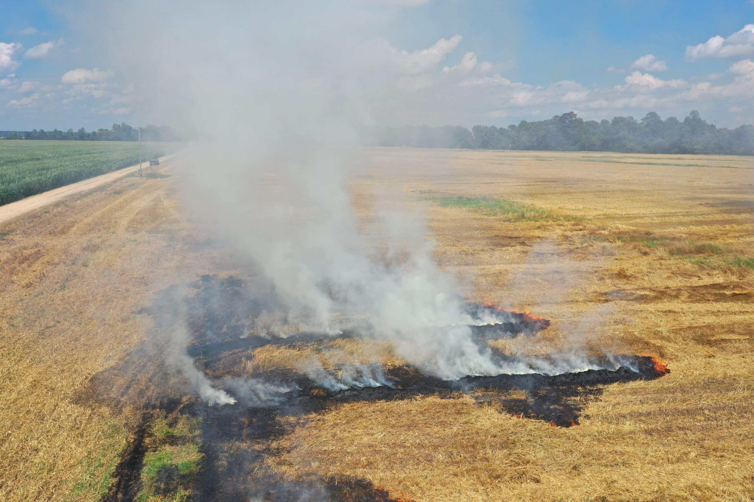 Narrow Windrow Burning for Weed Seed Control is Risky Business ...
