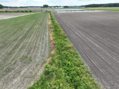 What is Integrated Weed Management? | Integrated Weed Management ...