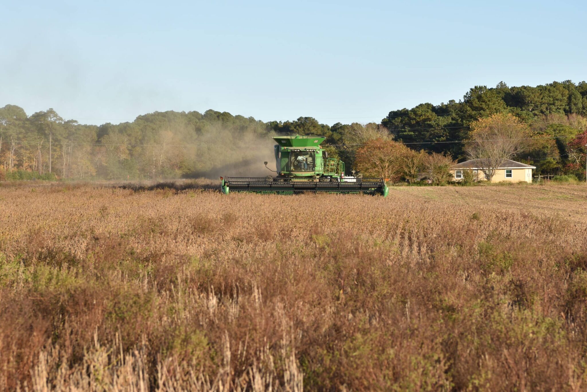 What is Integrated Weed Management? | Integrated Weed Management ...