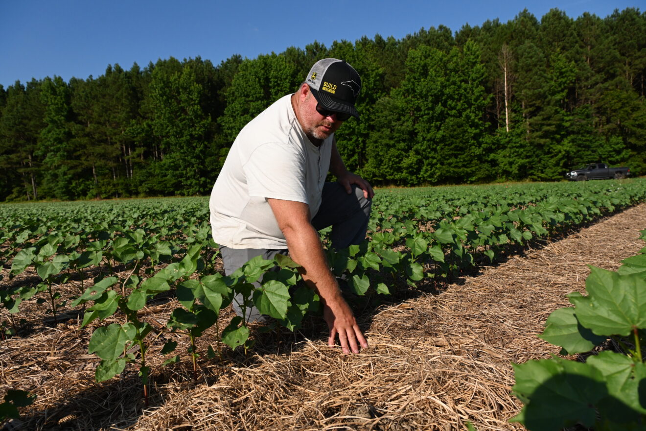Learn the Latest on Biological Weed Control Methods from the GROW ...