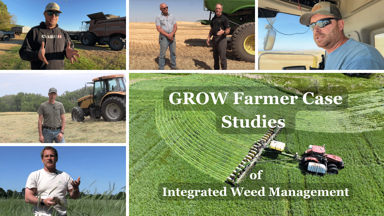 What is Integrated Weed Management? | Integrated Weed Management ...