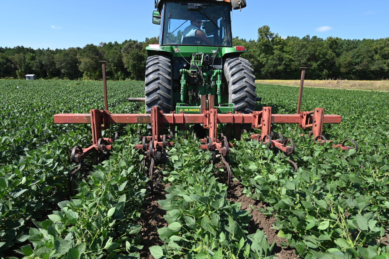 What is Integrated Weed Management? | Integrated Weed Management ...