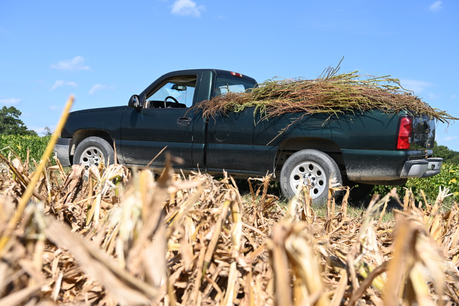 What is Integrated Weed Management? | Integrated Weed Management ...