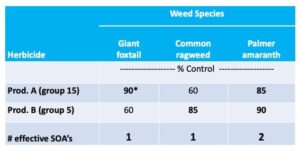 Barnyardgrass - Getting Rid Of Weeds