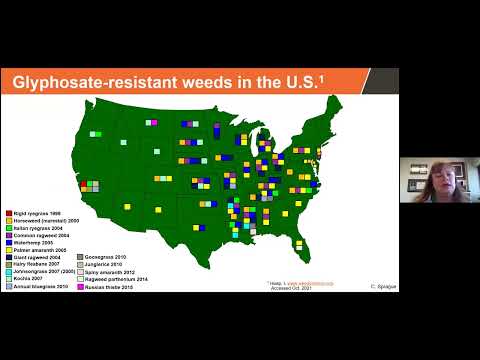 Soybean Trait Confusion: Herbicide-Resistant Traits Overview - Getting ...