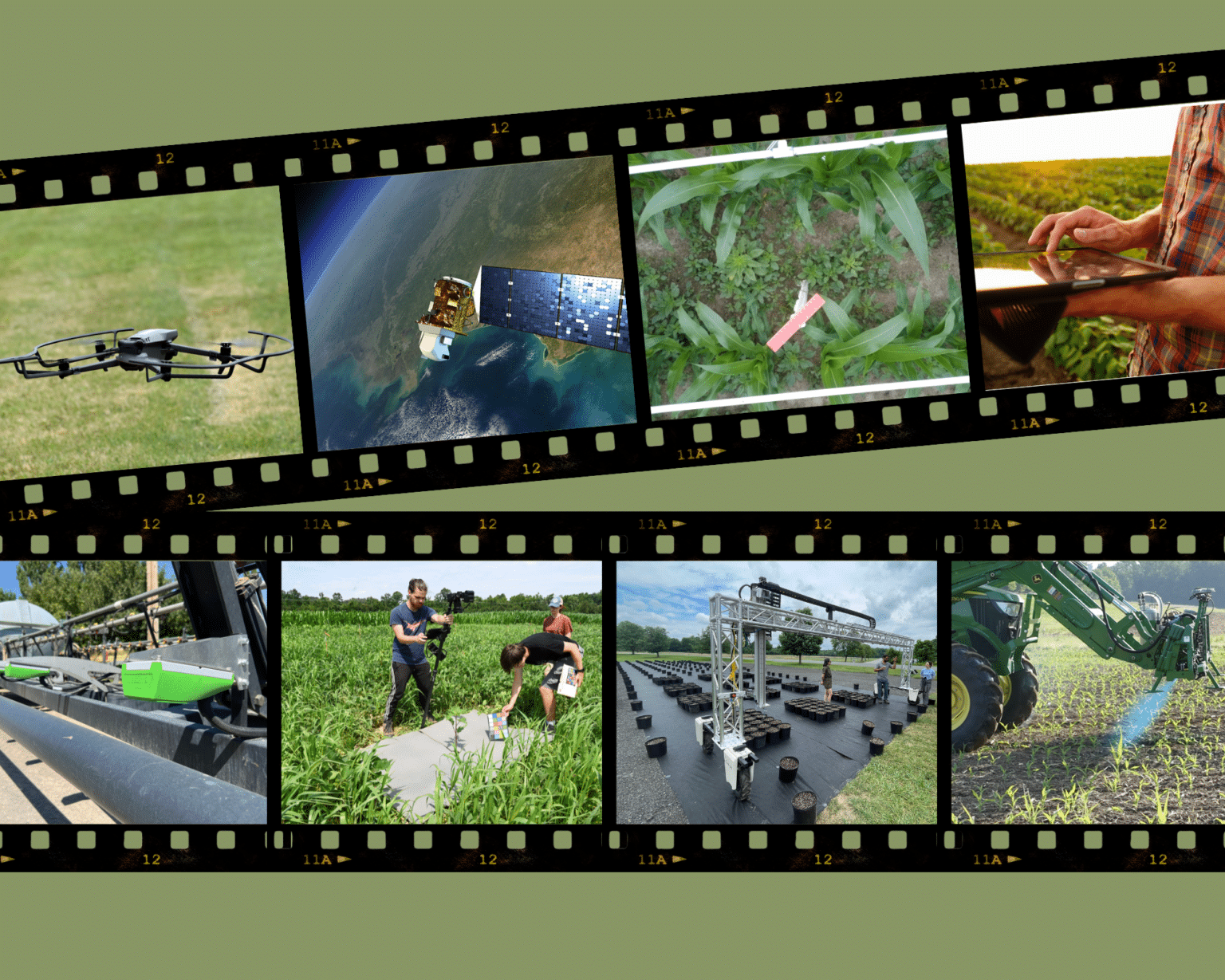 Precision Weed Management - Getting Rid Of Weeds