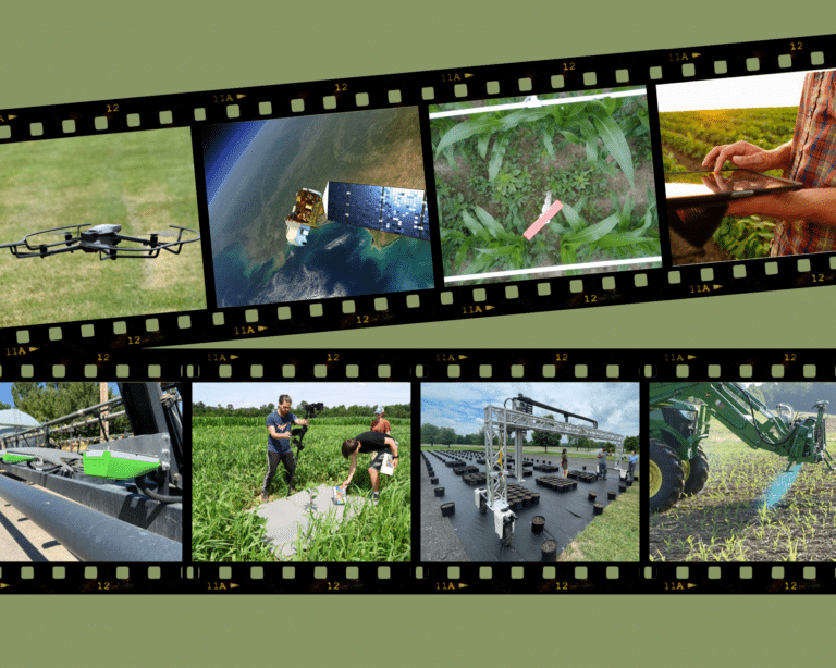 Eyes in the Sky and Eyes on the Ground: The Range of Camera-based Weed ...