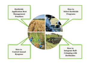Resource Alert: Cover Crop Termination Factsheets Now Available ...