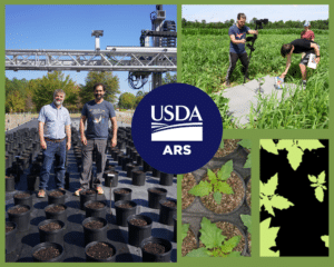 GROW (Getting Rid of Weeds) through Integrated Weed Management ...