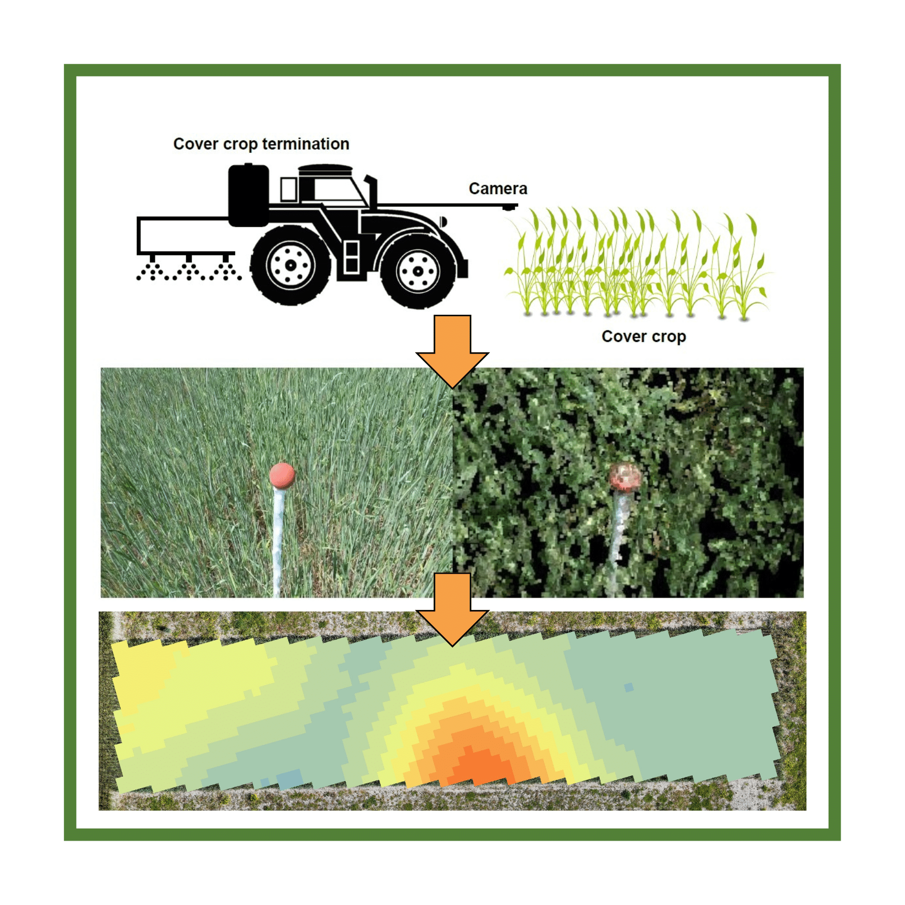 New Technology Aims to Map Cereal Rye Cover Crop Biomass - Getting Rid ...