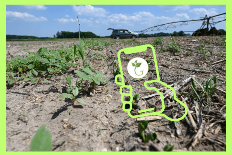 GROW (Getting Rid of Weeds) through Integrated Weed Management ...