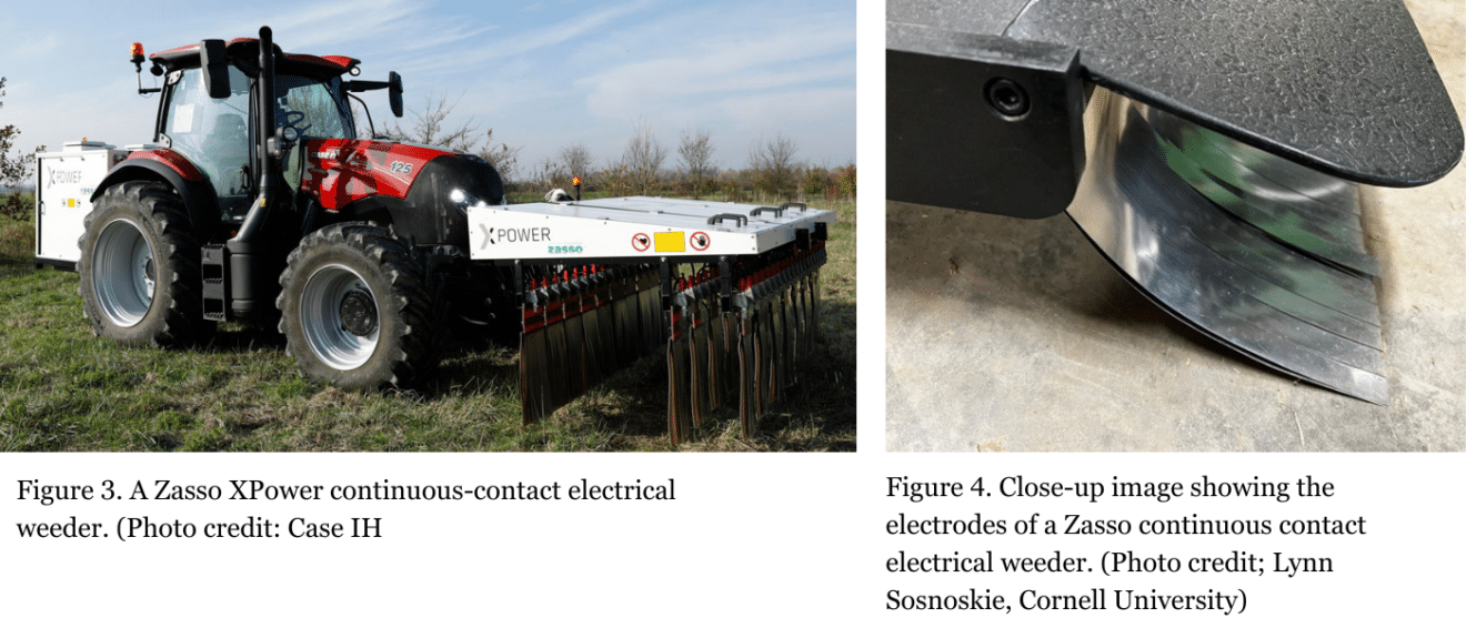 Weed Electrocution - Getting Rid Of Weeds