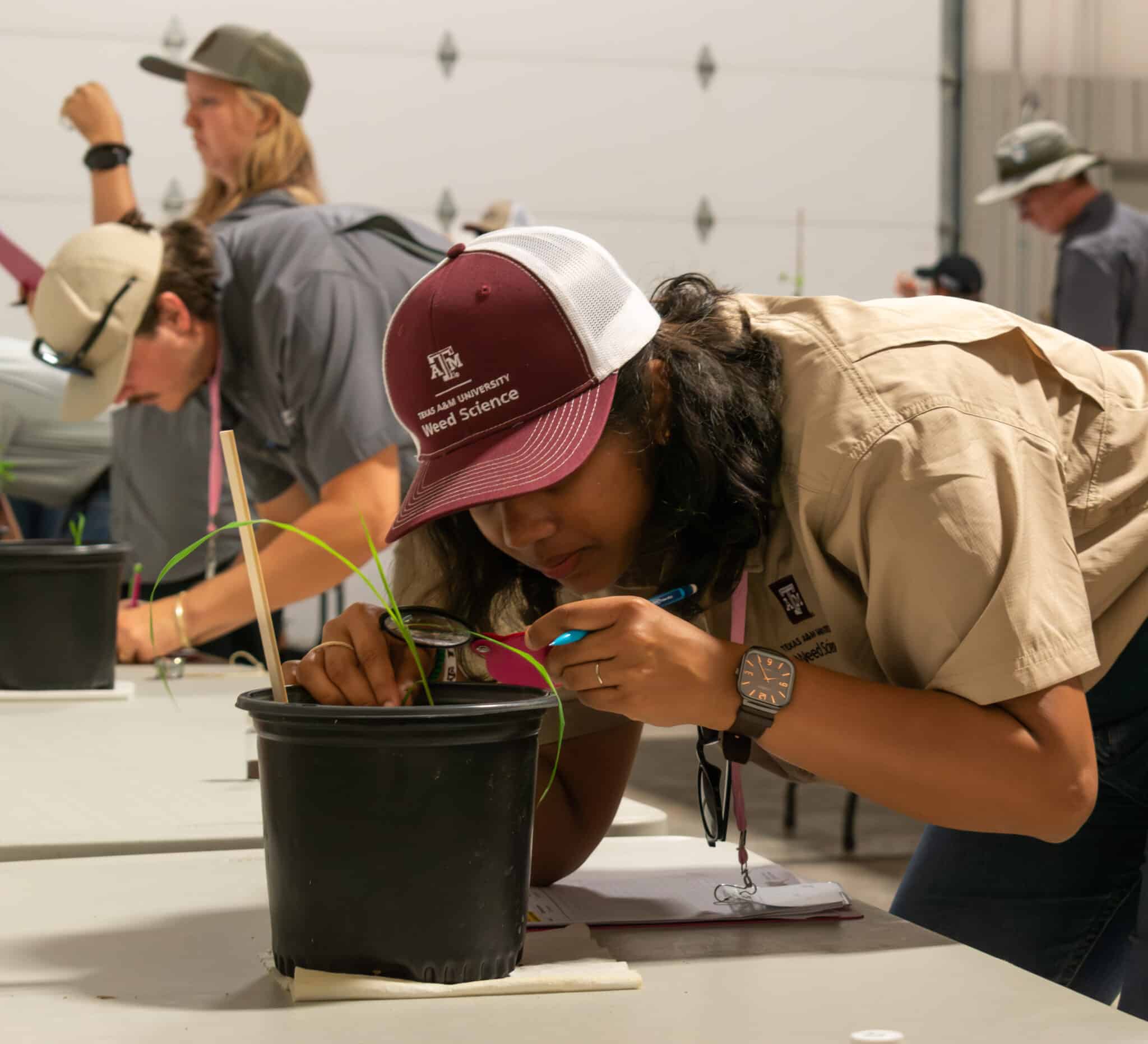Forged in the Field: Student Weed Contests Test and Train Future ...