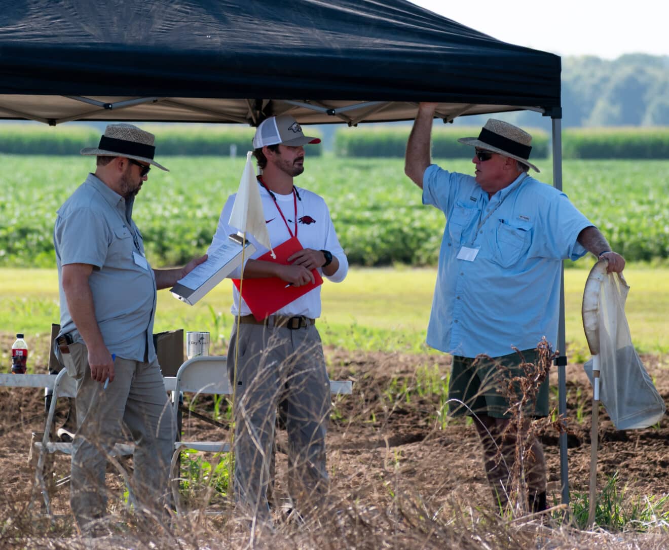 Forged in the Field: Student Weed Contests Test and Train Future ...